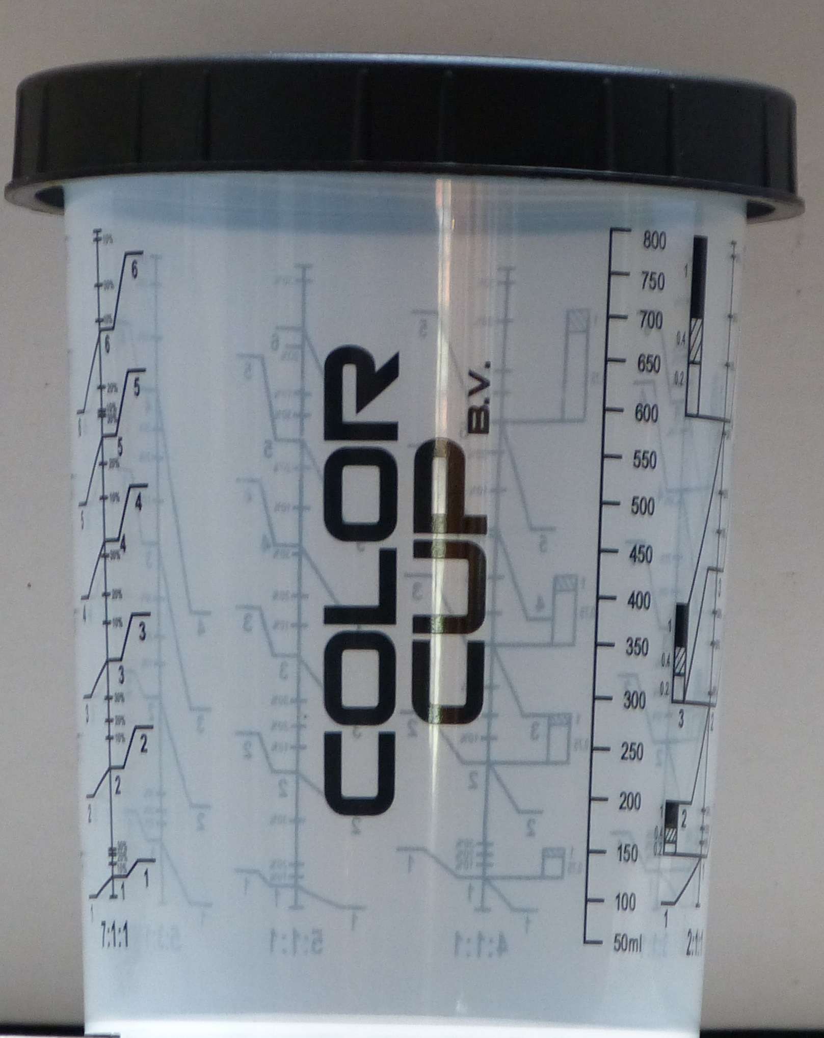 Home - Color Cup